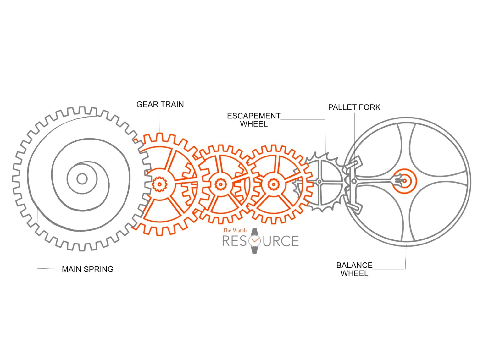 Watch Basics: Thing You Need To Know About Watches - The Watch Resource